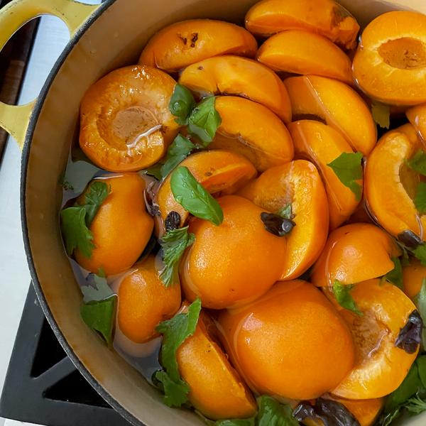 The Apricot Gift Collection – Lemon Bird Preserves