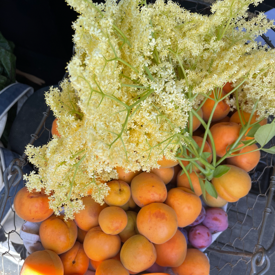 Products – Lemon Bird Preserves