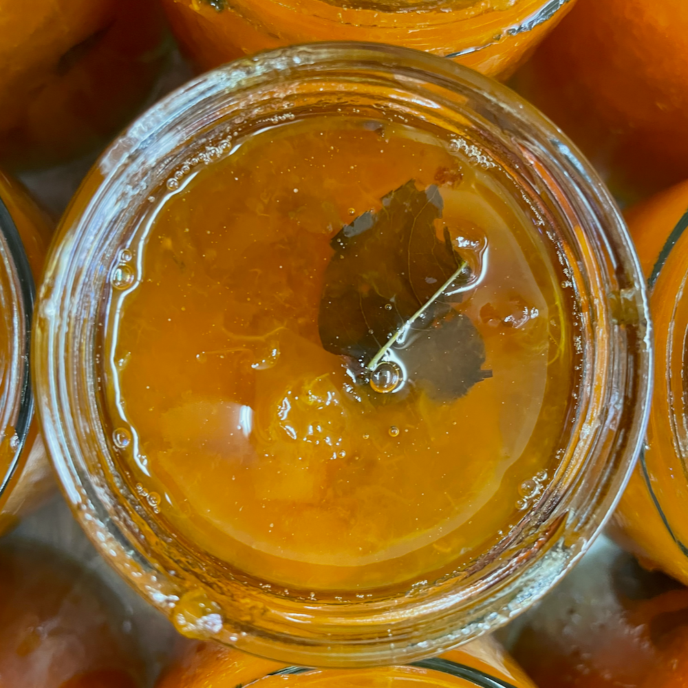Peach with Fig Leaf – Lemon Bird Preserves