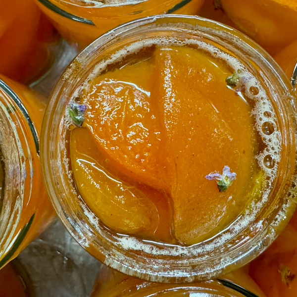 Apricot with Violet – Lemon Bird Preserves